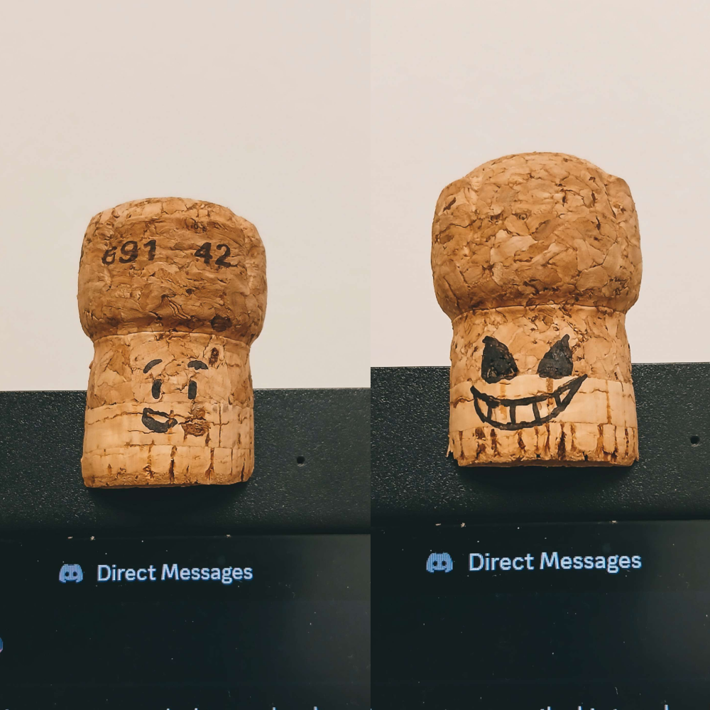 The Quest For Cork's Name » The Help Force